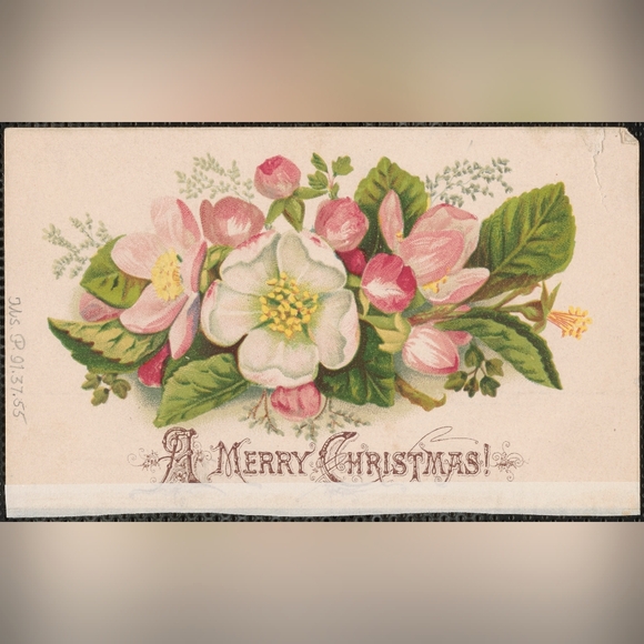 NATURAL LIFE | Holiday | Floral Merry Christmas Card Art Print | Poshmark